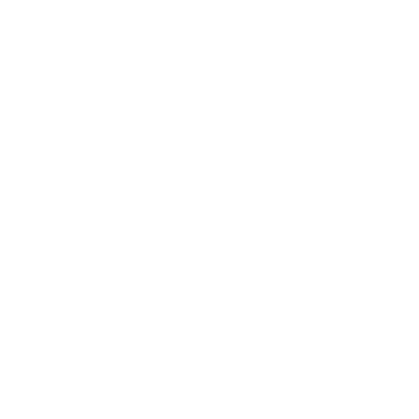 PGM Ultima Ratio